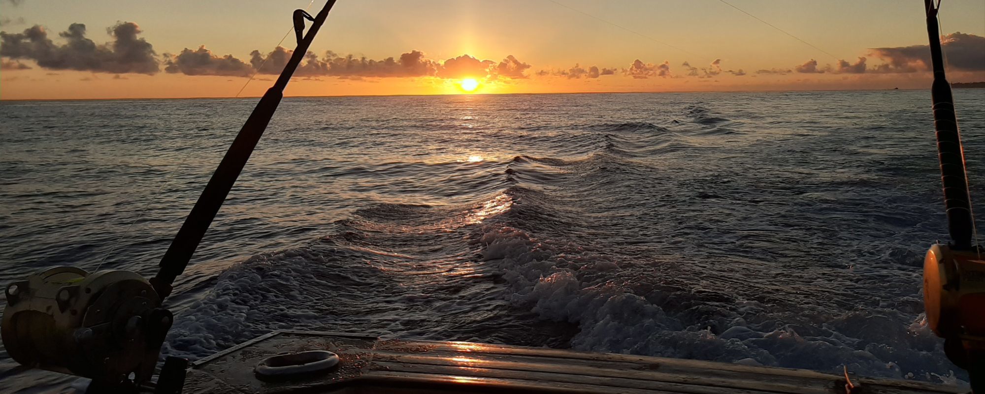 Rarotonga Fishing Season | Fish Species Chart & Fishing Records